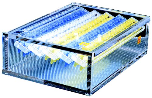 Dynalon 172324-0001 Enclosed Enzyme Freezer Box, 200 Place: Science Lab ...