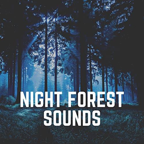 Play Night Forest Sounds by Sounds of the Forest, Rivers and Streams ...