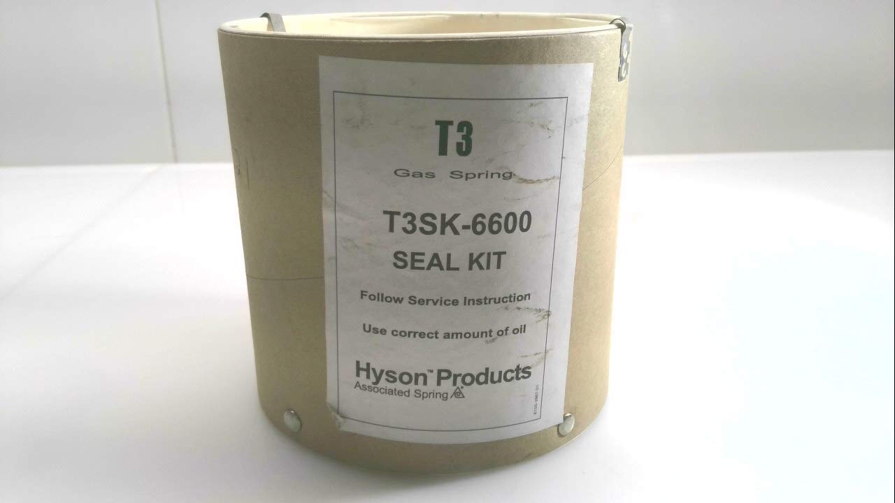 Amazon.com: Hyson Products T3SK-6600 Seal Repair Kit for T3-6600 Gas ...