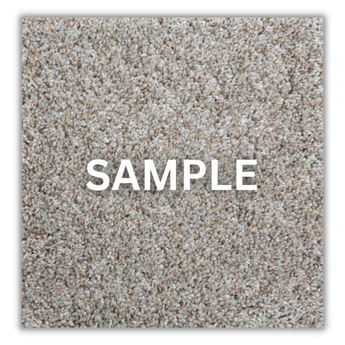 Top 10 Best Carpet Samples Free Squares : Reviews & Buying Guide - Katynel