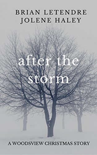 After the Storm - Kindle edition by Haley, Jolene, LeTendre, Brian ...