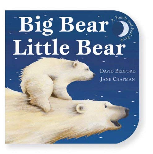 Amazon.com: Big Bear, Little Bear: 9781854309914: Bedford , David: Books
