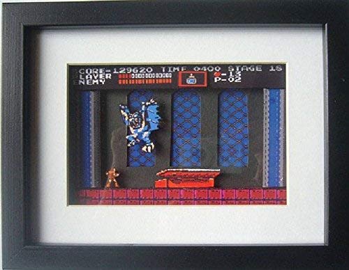 Amazon.com: NES Castlevania 3D Shadow Box Diorama Art : Home & Kitchen
