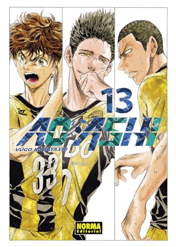 Everything You Need to Know About Ao Ashi - BuddyTV