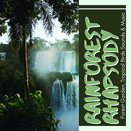 Play Rainforest Rhapsody: Serenade of a Forest Garden, Tropical Birds ...