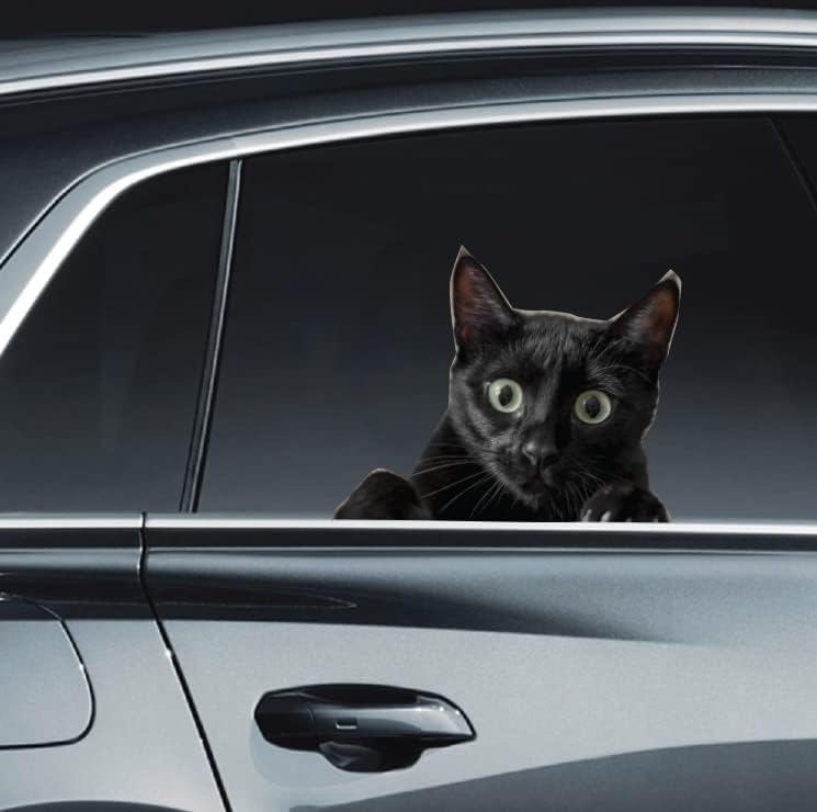 Amazon.com: Cat Car Window Decals Funny 3D Weatherproof Decals (Black Cat)