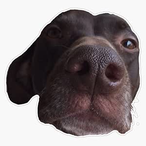 Amazon.com: Gsp Vinyl Sticker Laptop Decal Waterproof 5" : Automotive