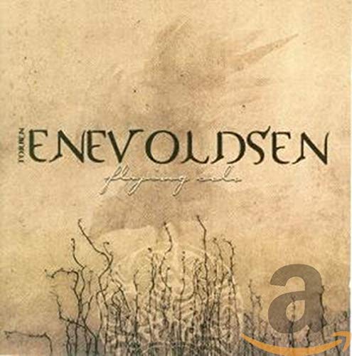 Amazon.com: Flying Solo: CDs & Vinyl