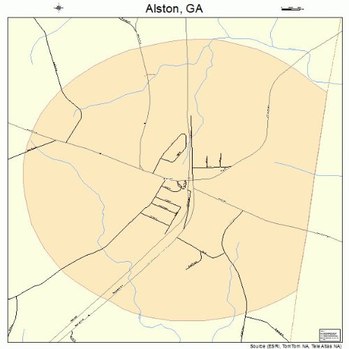 Amazon.com: Large Street & Road Map of Alston, Georgia GA - Printed ...
