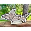 Amazon.com - Shark Teeth Shadow Box Large 14" Shark Tooth Display case ...