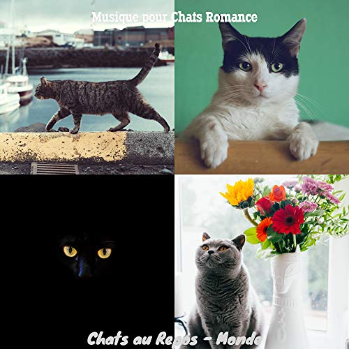Écouter Chats au Repos - Monde par Musique pour Chats Romance sur ...