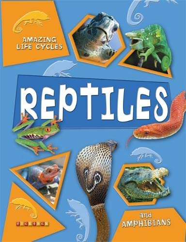 Amazing Life Cycles: Reptiles and Amphibians: Amazon.co.uk: Brian ...