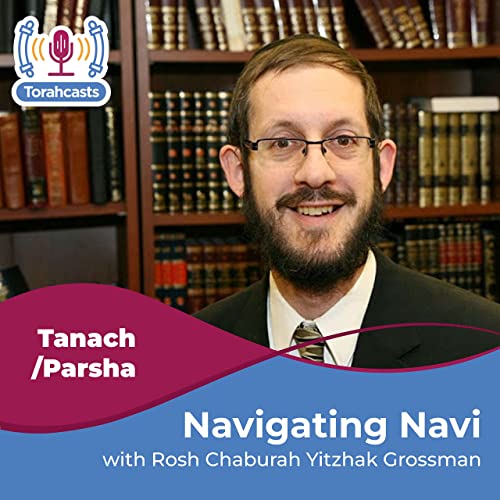 Navigating Navi : Yitzhak Grossman: Amazon.in: Audible Books & Originals