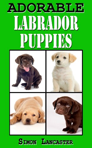 Adorable Labrador Puppies: A Picture Book eBook : Lancaster, Simon ...