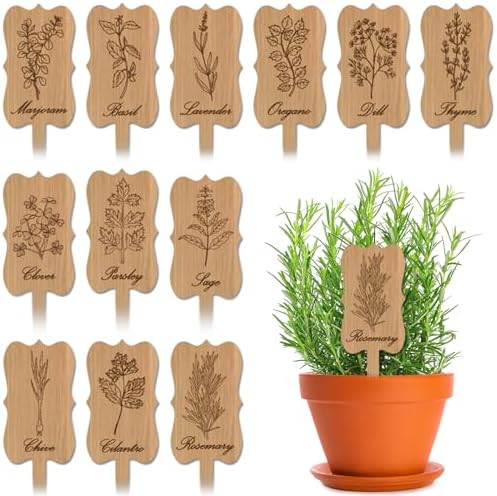 Amazon.com: Whaline 24Pcs Wooden Plant Labels Sign Planted Herb Markers ...