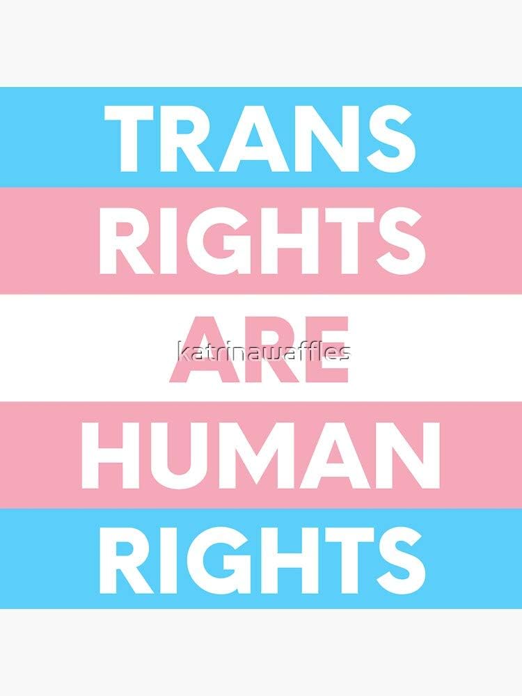 Amazon.com - Trans Rights are Human Rights - Sticker Graphic - Auto ...
