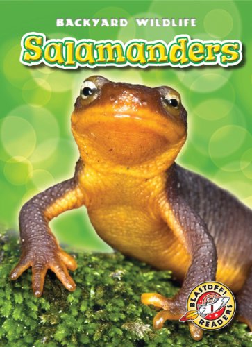 Amazon.com: Salamanders (Blastoff! Readers: Backyard Wildlife ...