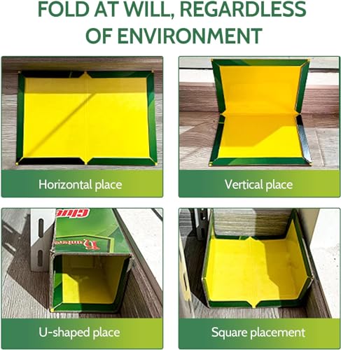 Pest Traps Boards – 5 Pack Multi-Use Pests Trap Pads for Indoor Outdoor ...