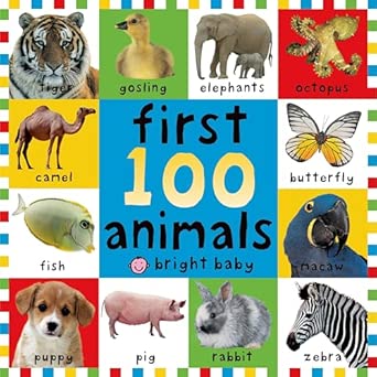 Amazon.com: First 100 Animals: A padded book―perfect for little hands ...