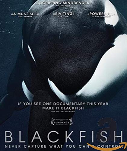 Amazon.com: Blackfish [Blu-Ray] : Movies & TV