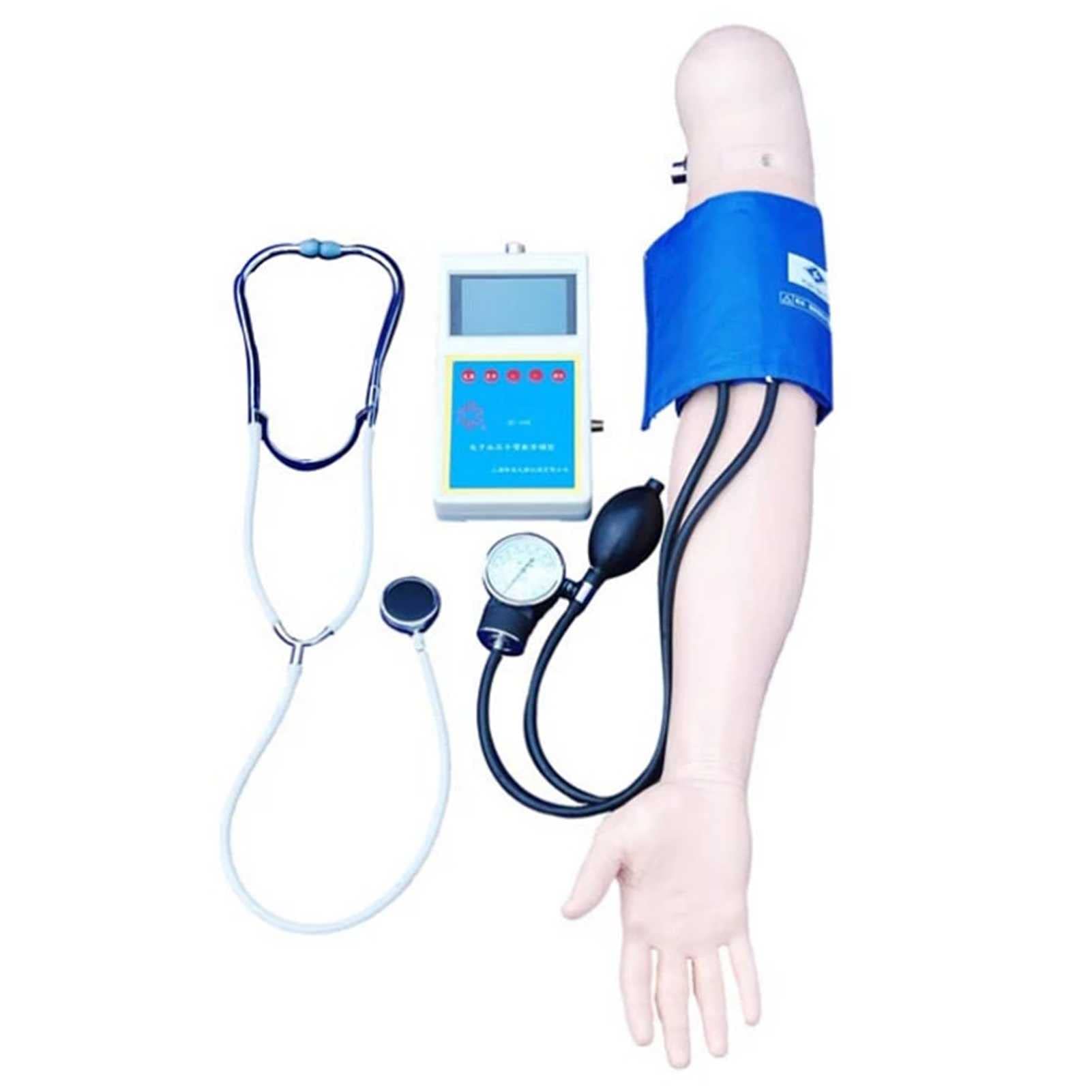 Buy Arm Blood Pressure Measurement Training Model, Blood Pressure ...