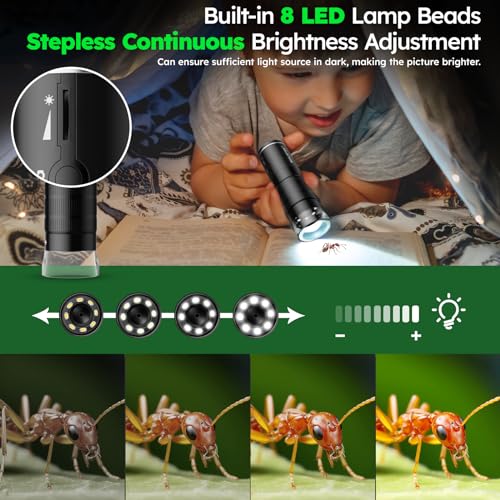 Snapklik.com : Wireless Digital Microscope, 50X-1000X Magnification ...