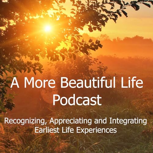 Amazon.com: A More Beautiful Life with Kate White : Kate White: Audible ...