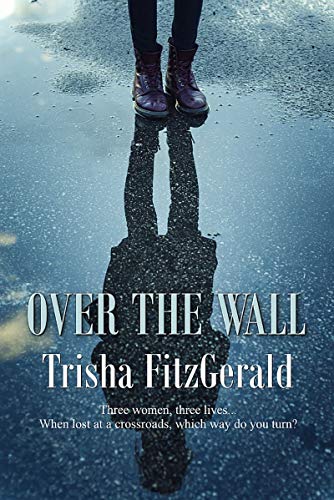 Over The Wall eBook : FitzGerald-Petri, Trisha: Amazon.ca: Kindle Store