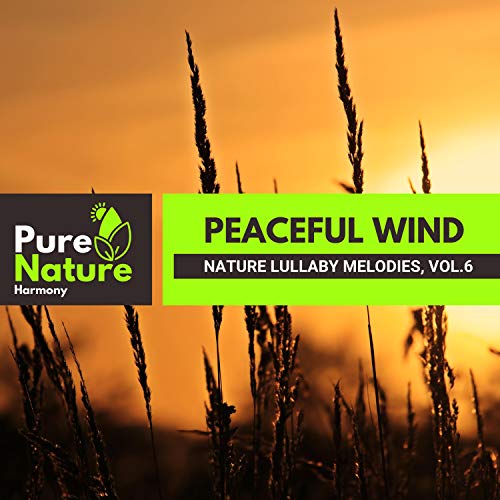 Play Peaceful Wind - Nature Lullaby Melodies, Vol.6 by VARIOUS ARTISTS ...