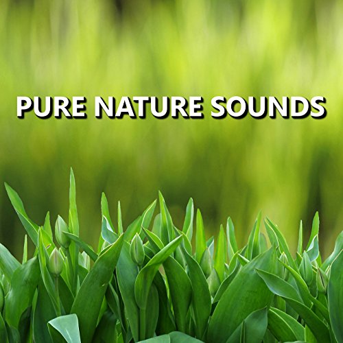 Amazon.com: Pure Nature Sounds : Tracks of Nature: Digital Music