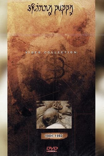 Amazon.com: Video Collection : Dwayne R. Goettel, Cevin Key, Kevin ...