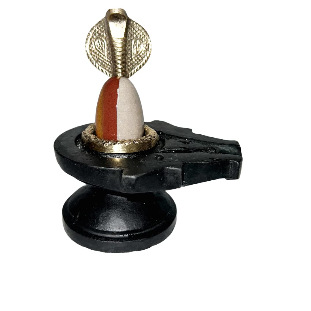 Buy Shree Harishankar Shivling Natural Ardhanareshwar Narmadeshwar ...