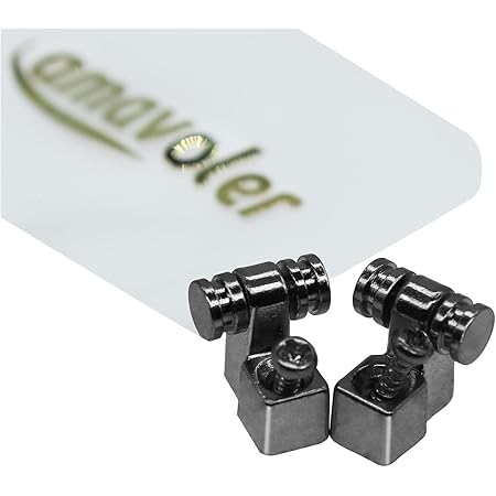 Amazon.com: MAXCHEER Roller Guitar String Trees Guides Retainer for ...