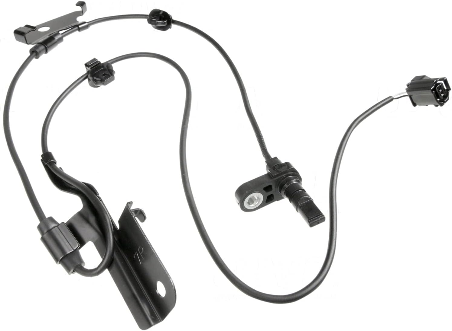 Amazon.com: Front Right ABS WHEEL SPEED SENSOR Replacement For Toyota ...