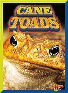 The Environmental Impact Of Cane Toads: Unveiling The Consequences ...