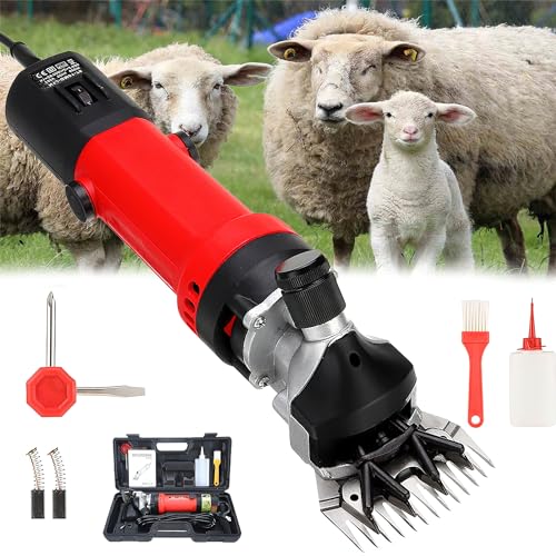 Amazon.in Bestsellers: The most popular items in Sheep & Goat Shearing ...