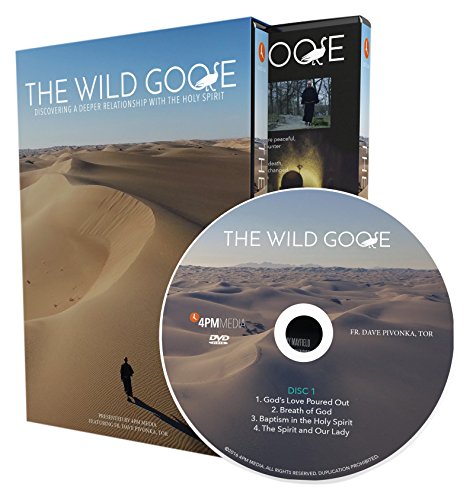 The Wild Goose: Discovering a Deeper Relationship with the Holy Spirit ...