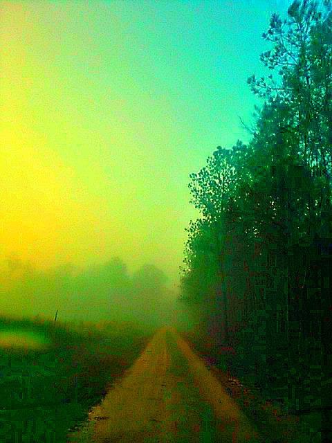 The Collected Poems of Wallace Stevens: The Corrected Edition (Vintage ...