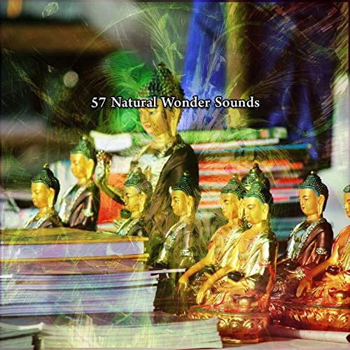 Spiele 57 Natural Wonder Sounds von Zen auf Amazon Music ab