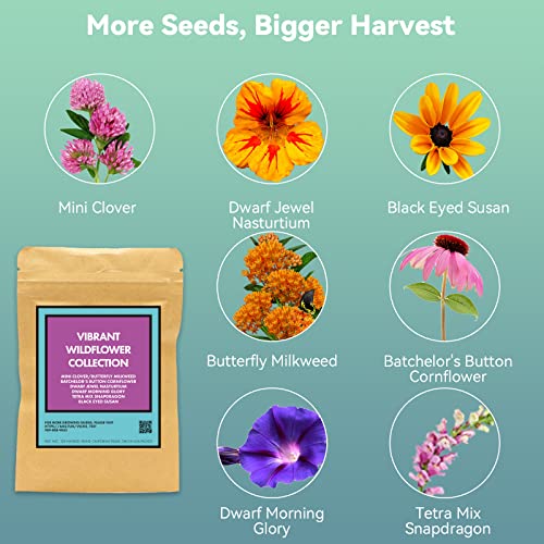 Snapklik.com : LYKO Clover Seed Pod Kit For AeroGarden, Idoo, MUFGA ...