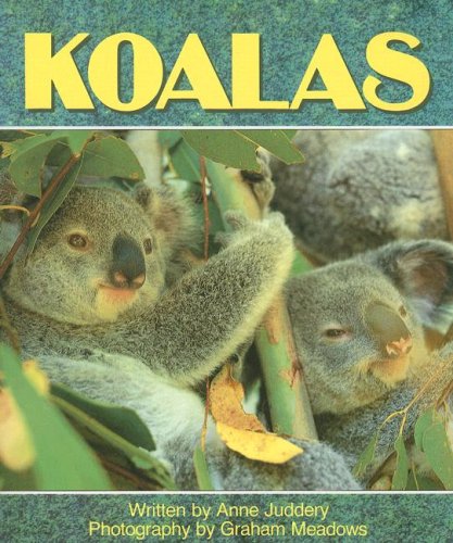 Koalas (Literacy 2000): Graham Meadows: 9780790111377: Amazon.com: Books