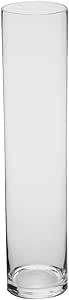 Amazon.com: Syndicate Sales 18" Cylinder Vase, Clear : Home & Kitchen