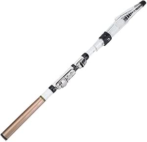 Amazon.com: Telescopic Fishing Rod, Portable Casting and Spinning Rods ...