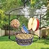 Amazon.com : Nature's Way BBFM1 Bluebird Buffet Metal Bird Feeder with ...