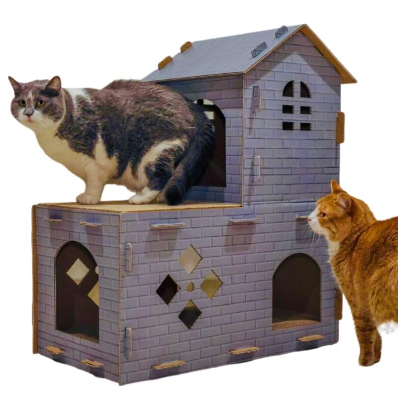 Amazon.com : Braveheart Cardboard cat Castle, Multi Level Large cat ...