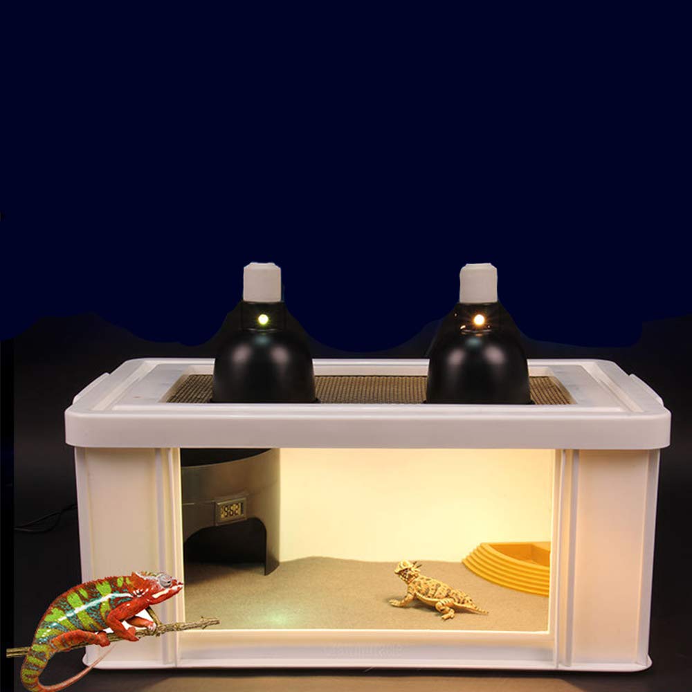 Buy XBTECH Reptile Box Breeding Pet Lizard Spider Snake Frog Scorpion ...