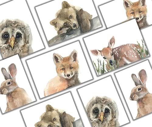 Amazon.com: Cute Woodland Animals Greeting Cards - Set of 10 All ...