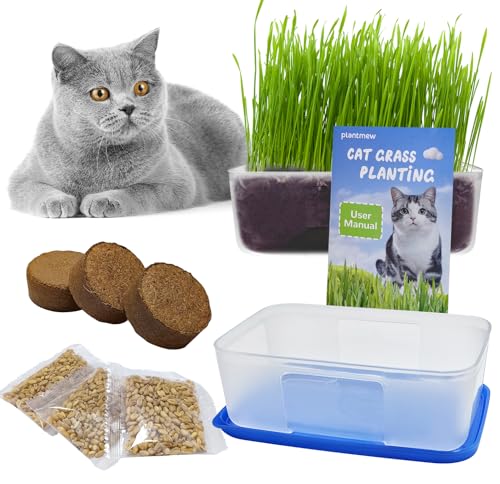 Wheatgrass for Cats – The 15 best products compared - Wild Explained