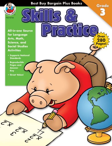 Skills & Practice, Grade 3 (Best Buy Bargain Books): Frank Schaffer ...