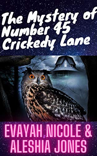The Mystery of Number 45 Crickedy Lane (ENJ Series Book 1) eBook ...